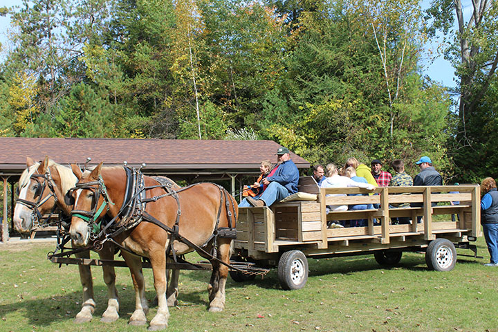 Pied Piper celebrates Fall Fest | News, Sports, Jobs - The Alpena News